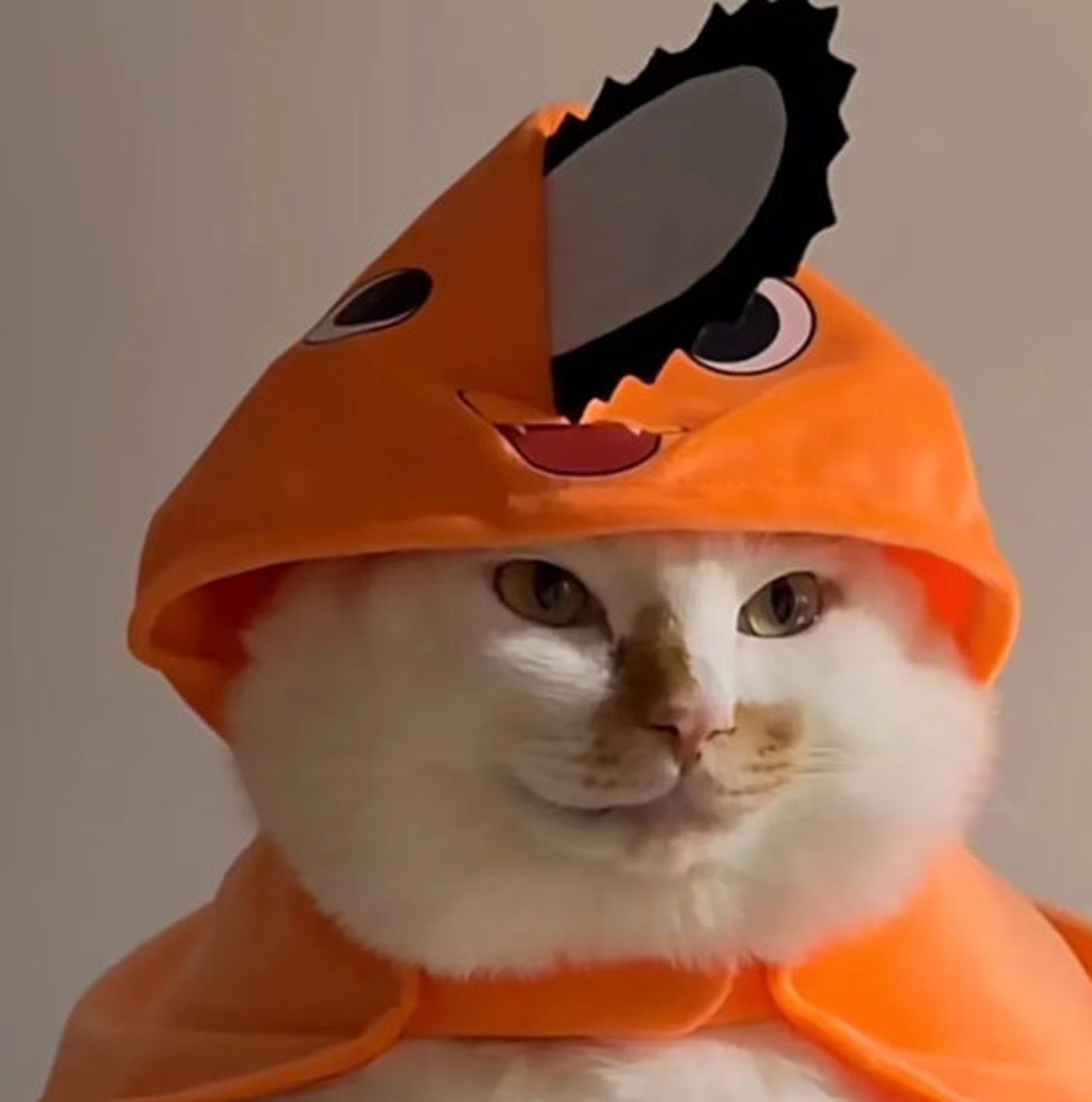 Japan Pochita Cat Anime Chainsaw Man Pochita Pet Cloak Cosplay - Etsy