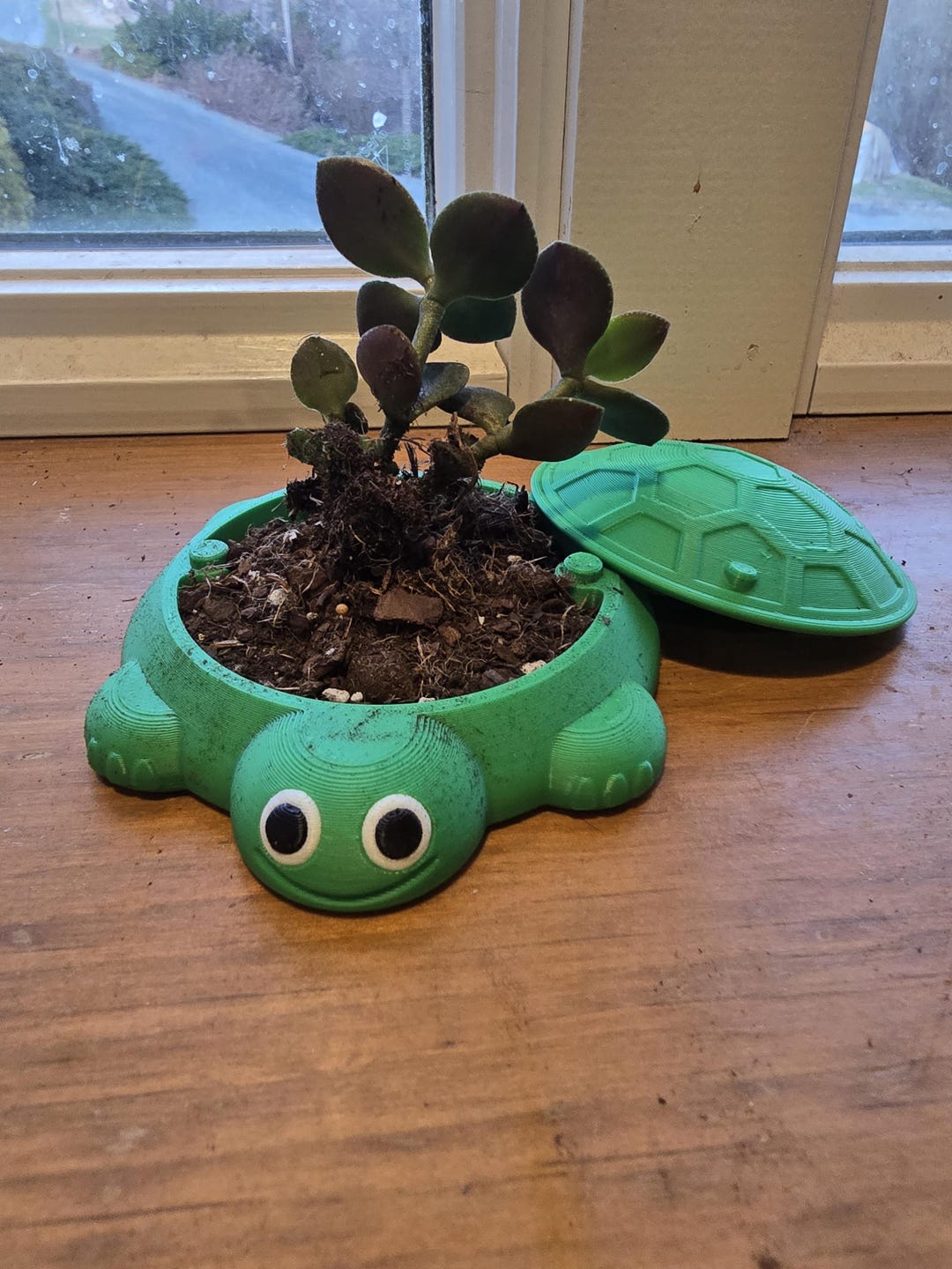 Little Tikes Turtle Sandbox - Etsy