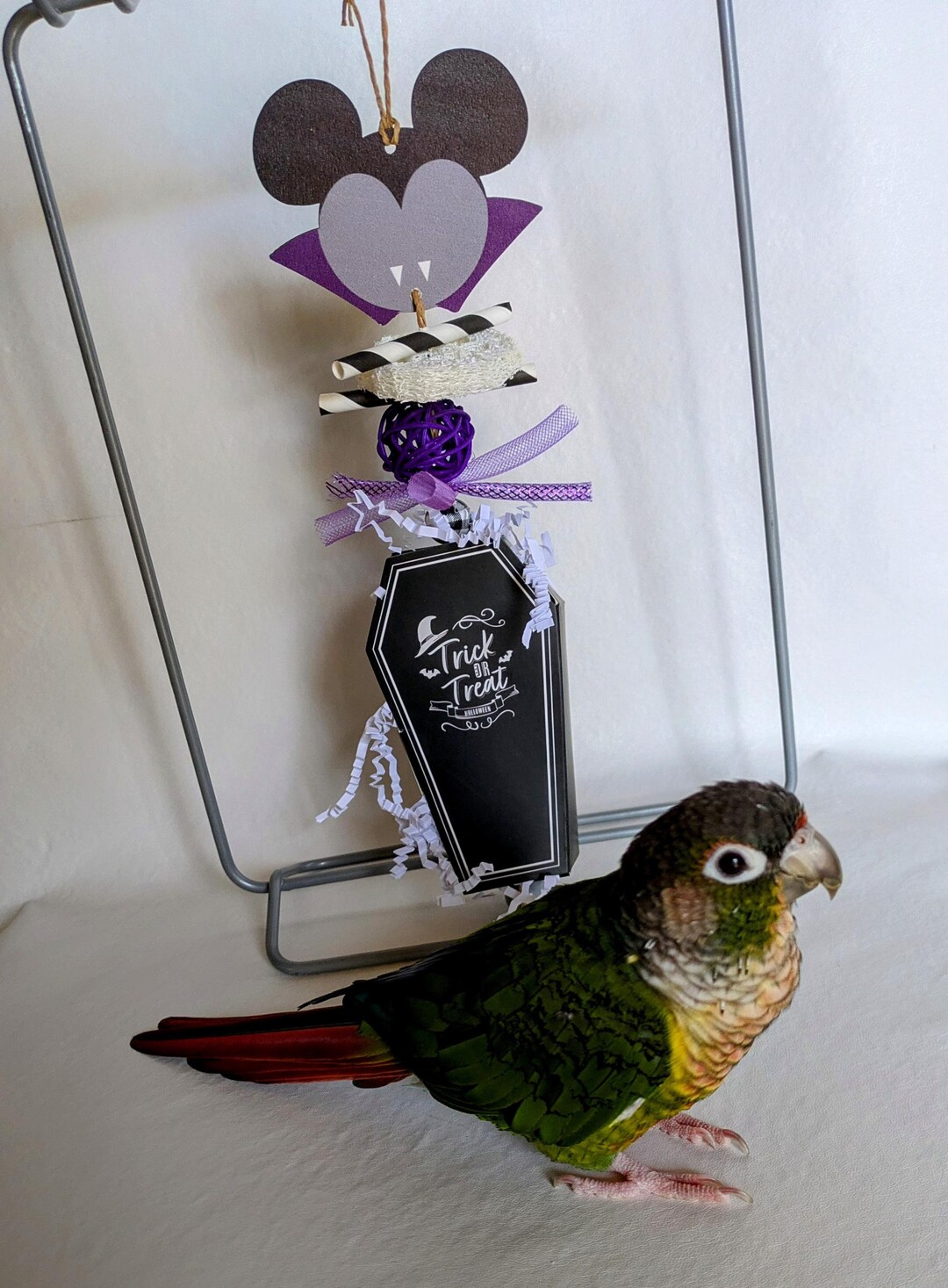 Vampire Coffin Theme Park Mouse - Etsy