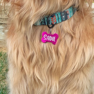 Dog Cat Pet Name Address Phone Number ID Dog Tag Dog Collar for Dogs ...