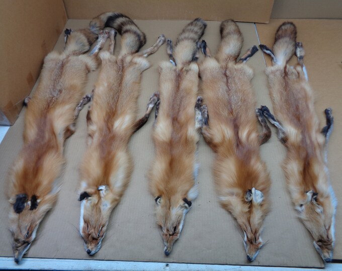 Red Fox Hide With 4 Feet Professionally Tanned/semi Heavy - Etsy