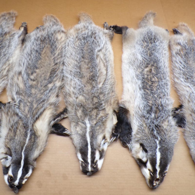 Nutria Fur Hats - Etsy