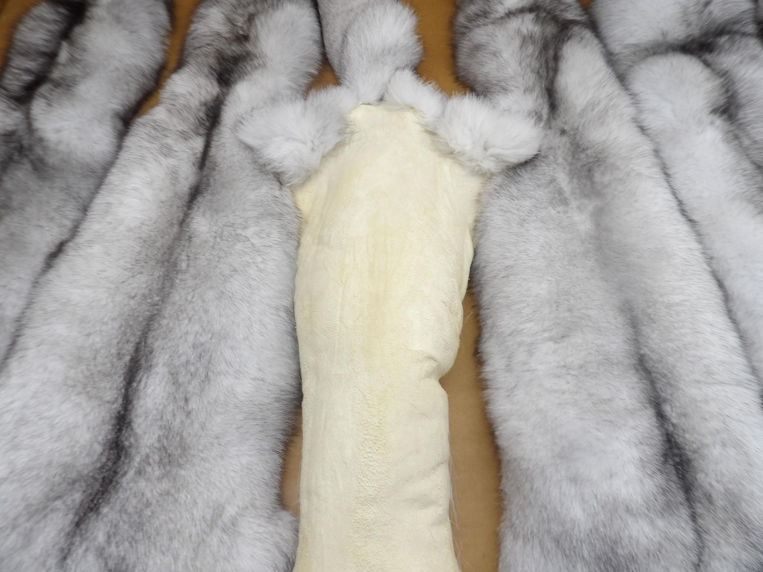 XXL Blue Fox Hide #1 Top Lot Grade, Professionally Tanned/pelt/nicely ...