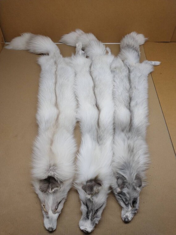 Arctic Cross Fox Hide Professionally Tanned 1 - Etsy