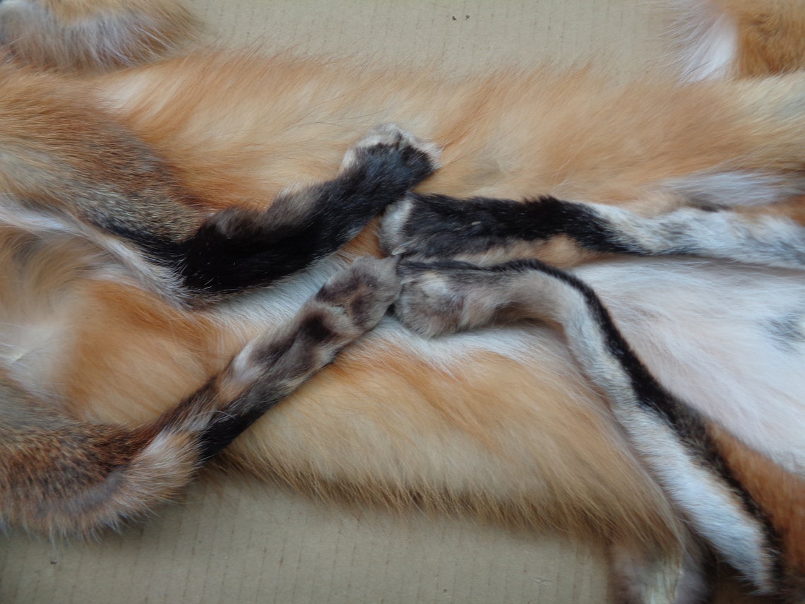 Red Fox Hide With 4 Feet Professionally Tanned/semi Heavy - Etsy