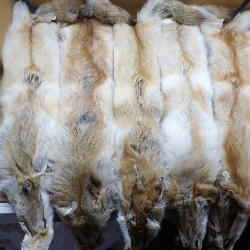 Coyote Fur Coat - Etsy