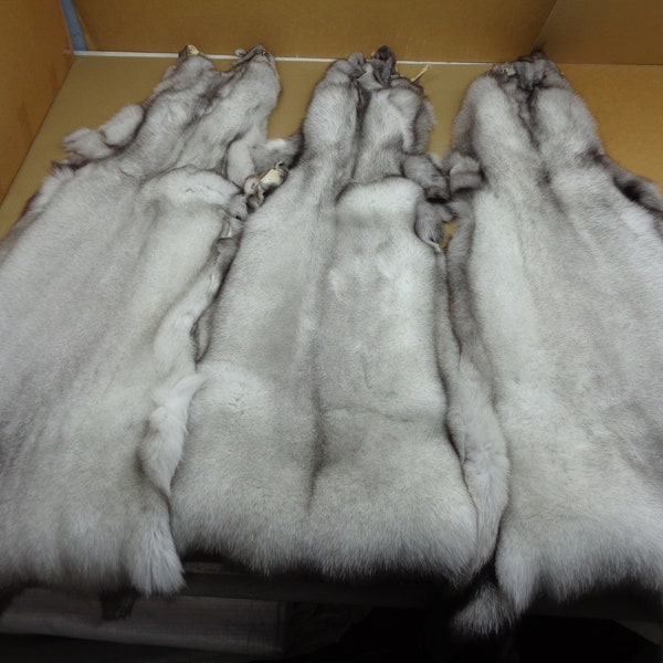 Costume Wolf Pelt - Etsy