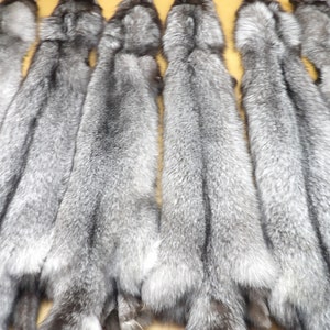 XXL Blue Frost Fox Hide #1 Top Lot Grade, Professionally Tanned/pelt ...