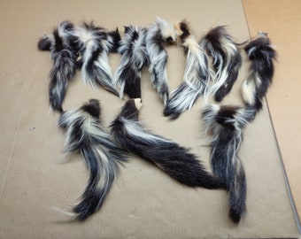 Skunk Tail Made to Order - Etsy