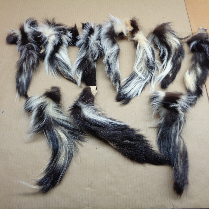 Skunk Tail - Etsy