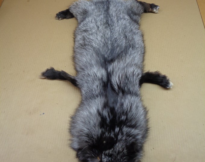 Silver Fox Hide With 4 Feet Professionally Tanned Top Lot Grade/tanned ...