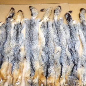 Grey Fox Hide #2 Grade Professionally Tanned/pelt/natural Fur - Etsy