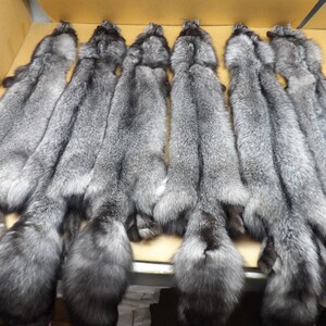 XXL Blue Frost Fox Hide #1 Top Lot Grade, Professionally Tanned/pelt ...
