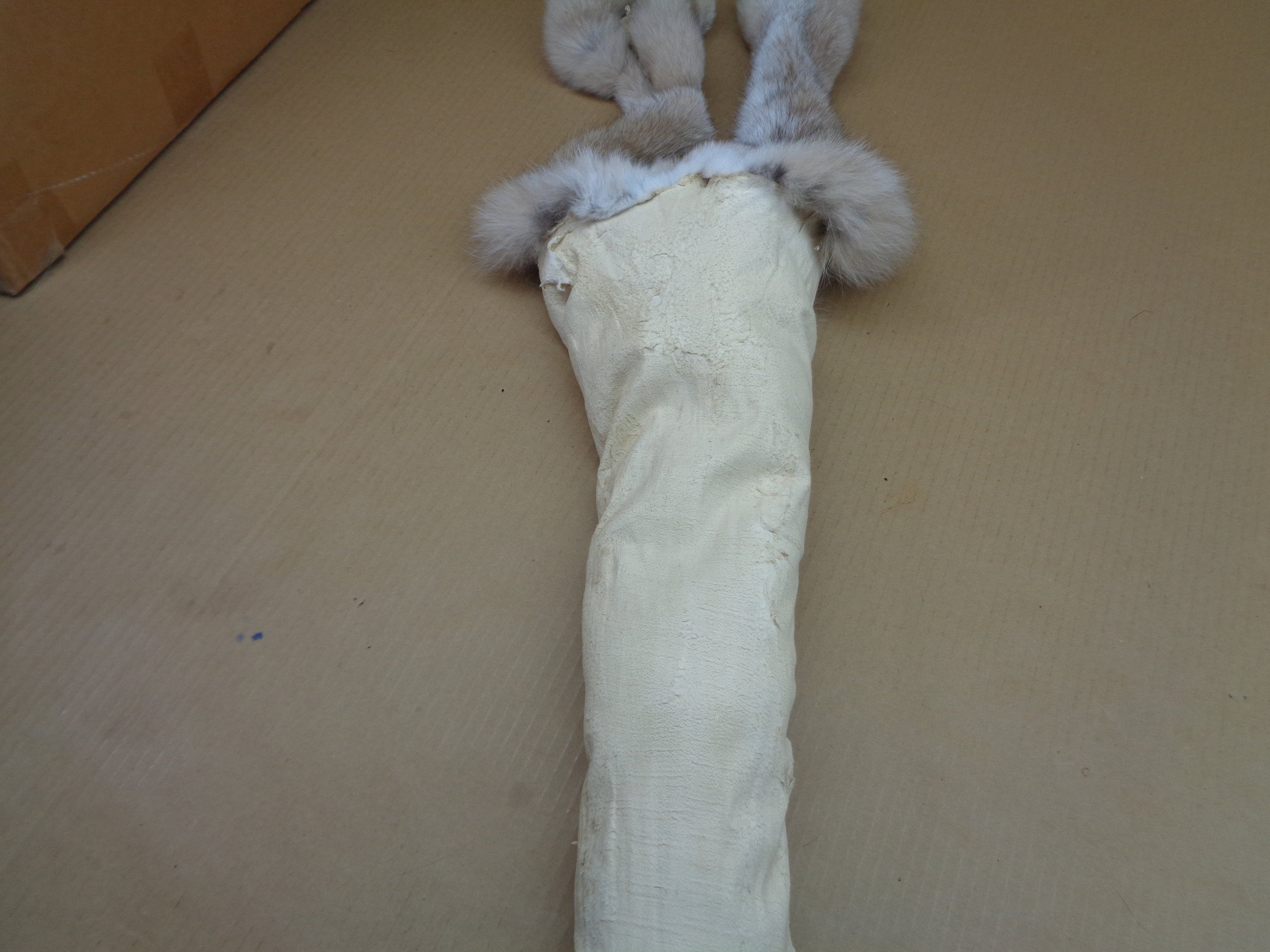 XXL Alaskan Lynx Hide With Feet and Claws Professionally - Etsy