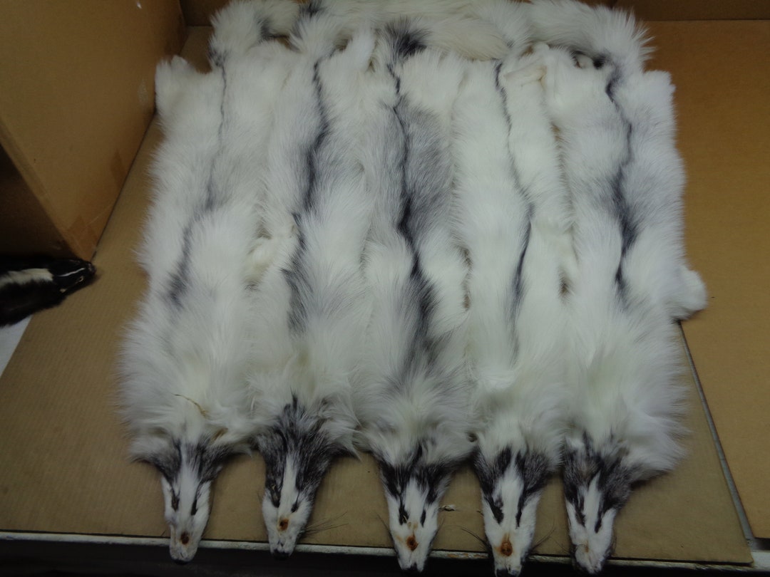 Arctic Marble Fox Hide Professionally Tanned Pelt - Etsy