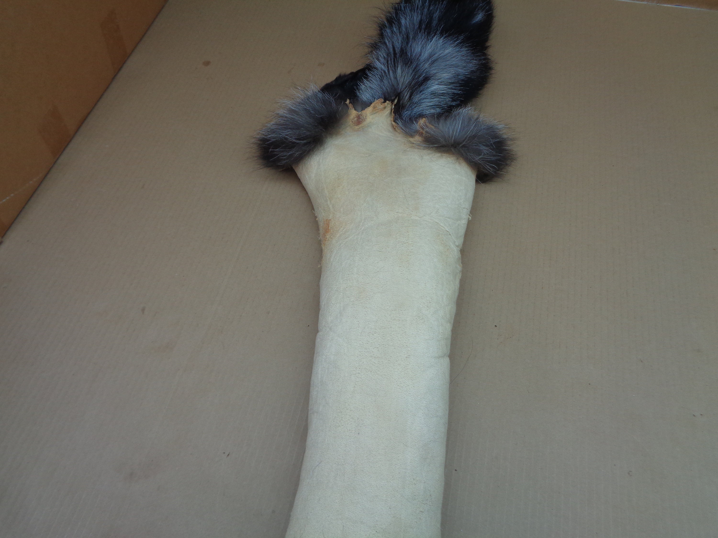 Silver Fox Hide With 4 Feet Professionally Tanned Top Lot - Etsy