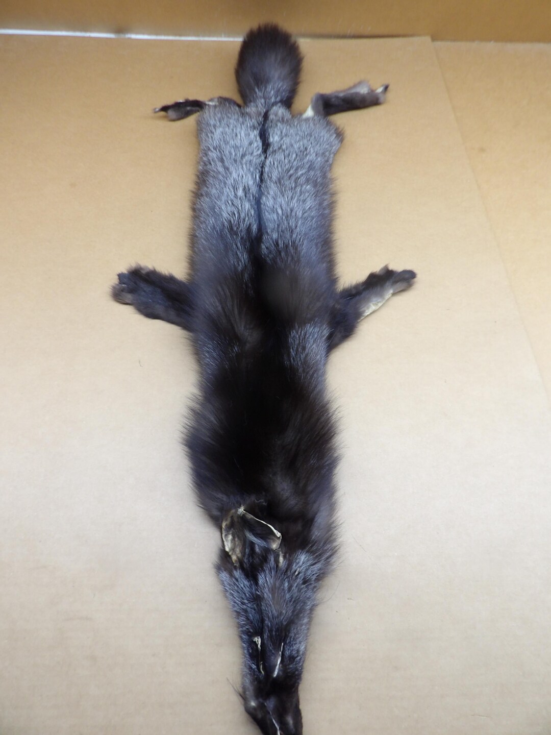 Professionally Tanned Alaskan Silver Fox Hide/pelt/nicely Furred - Etsy