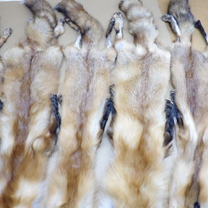 Red Fox Hide With 4 Feet Professionally Tanned/semi Heavy - Etsy
