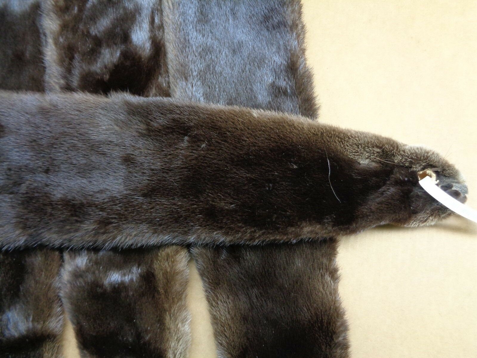 Large Dark River Otter Hide Professionally Tanned 1 Grade - Etsy
