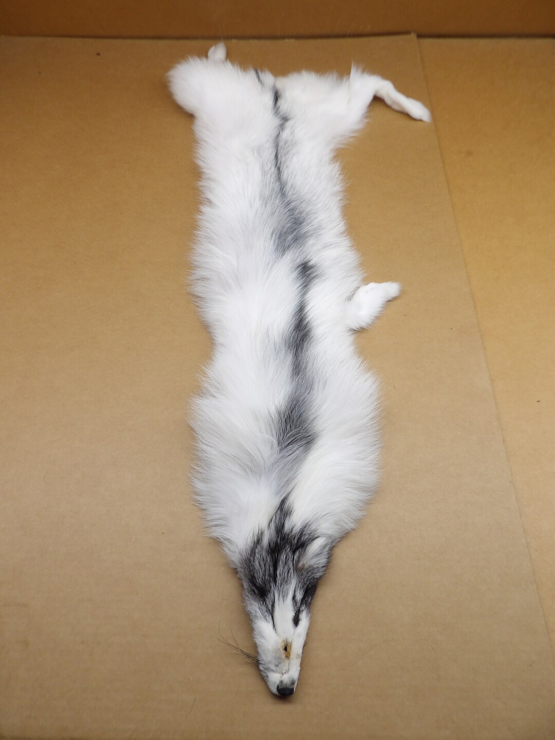 Professionally Tanned Arctic Marble Fox, No Tail/pelt/nicely Furred - Etsy