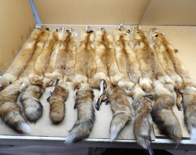 Red Fox Hide With 4 Feet Professionally Tanned/semi Heavy Fur/fur Pelt ...