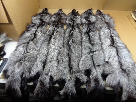 XXXL Silver Fox Hide Damage Grade Professionally - Etsy