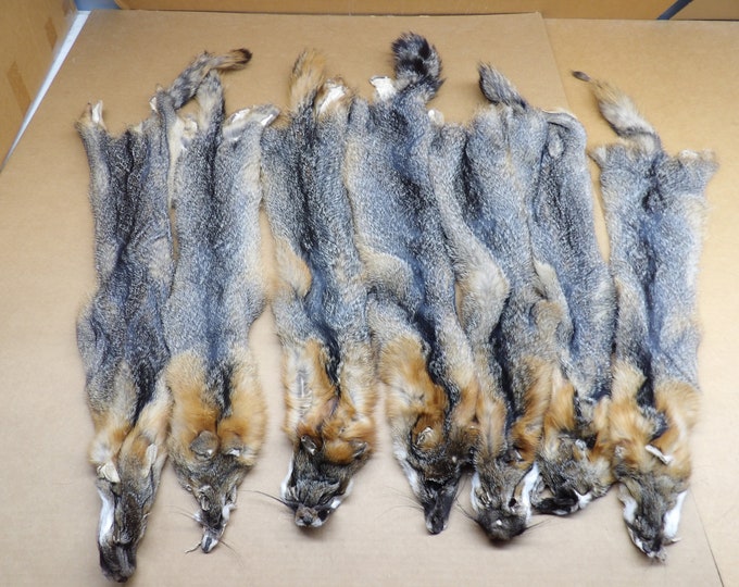 Grey Fox Hide Damage Grade Professionally Tanned/pelt/natural Fur - Etsy
