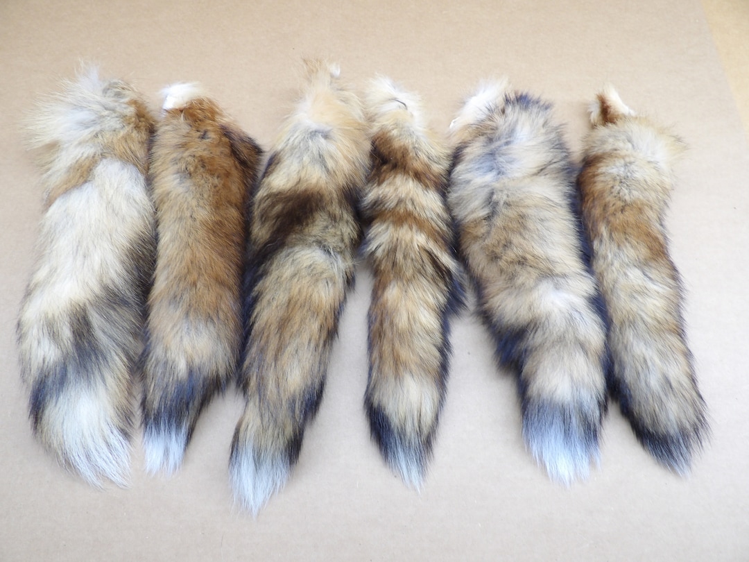 XL Red Fox Tail/professionally Soft Tanned/real Fur - Etsy