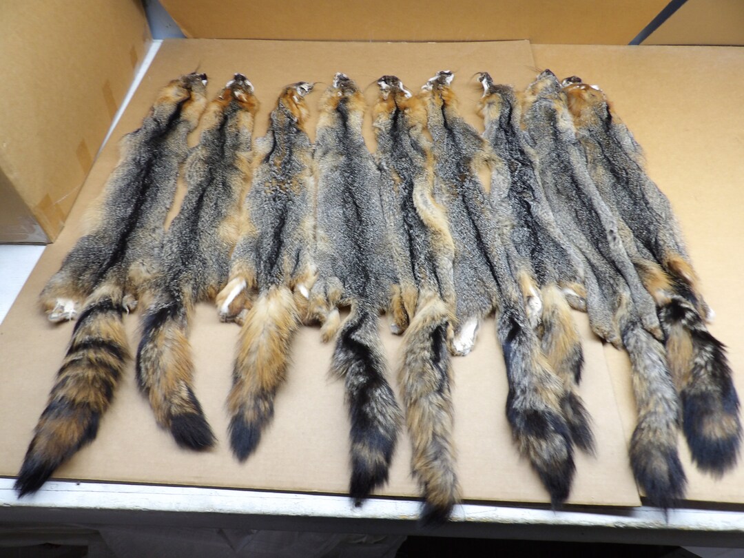 Grey Fox Hide #2 Grade Professionally Tanned/pelt/natural Fur - Etsy