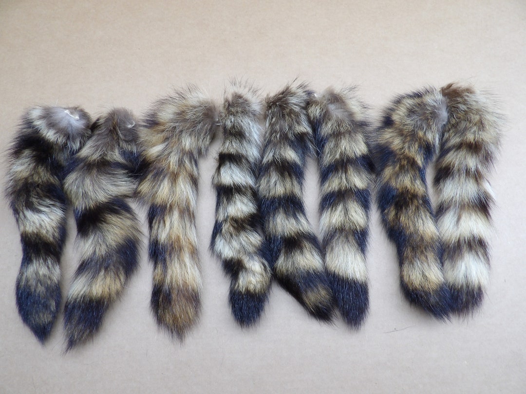 Raccoon Tail Professionally Soft Tanned/real Fur/coon Tail/cat Toy - Etsy