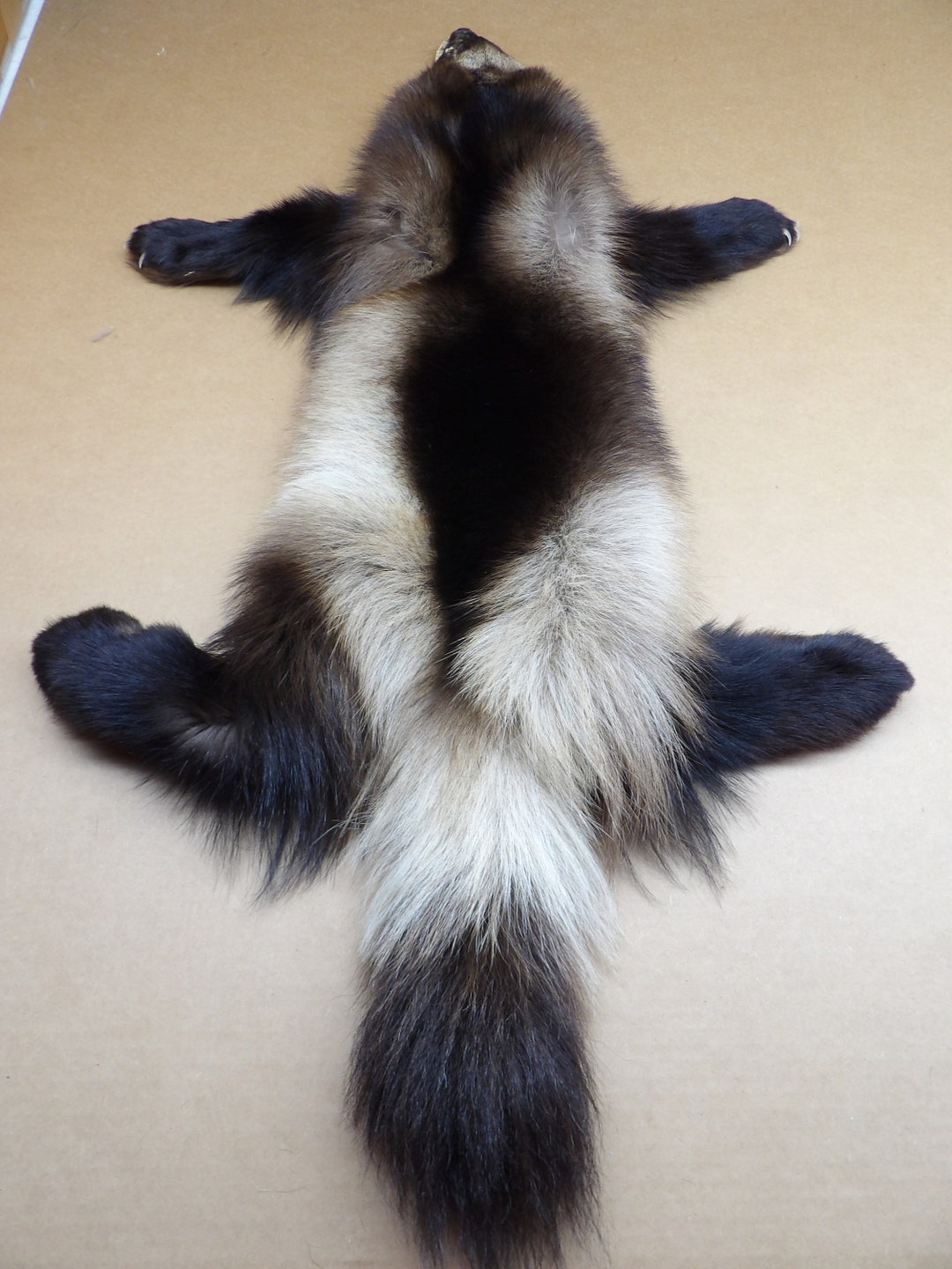 Alaskan Wolverine Professionally Tanned 1 Grade Hide With 4 Feet/tanned ...