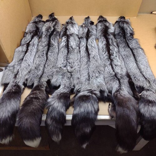 Professionally Tanned 1 Grade Red Fox Hide/pelt | Etsy