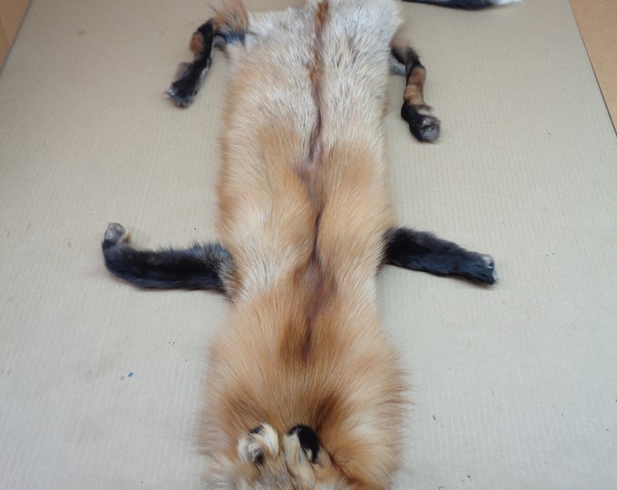 Pale Red Fox Hide With 4 Feet Professionally Tanned Top Lot Grade ...