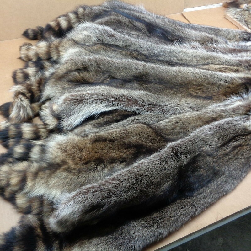 Bear Pelt - Etsy