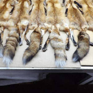 Red Fox Hide With 4 Feet Professionally Tanned/semi Heavy - Etsy