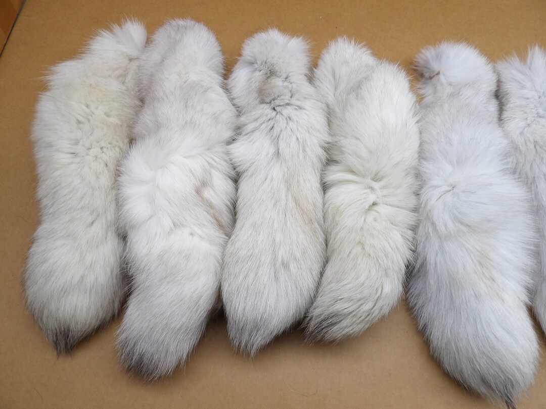 XL Blue Fox Tail/professionally Soft Tanned/real Fur/halloween Costumes ...