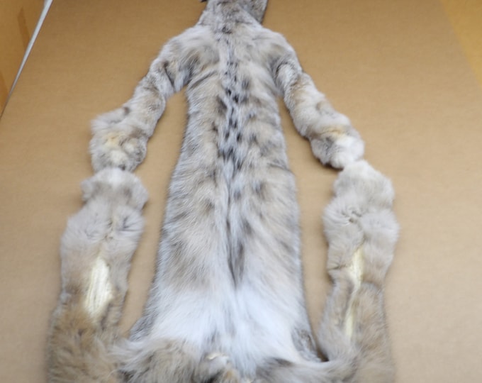 XXL Alaskan Lynx Hide With Feet and Claws Professionally Tanned 1 Grade ...