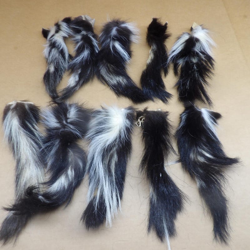 Skunk Tail - Etsy
