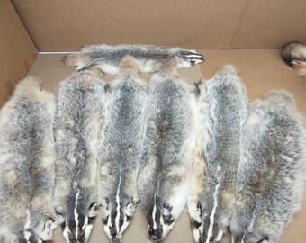 Badger Hide - Etsy