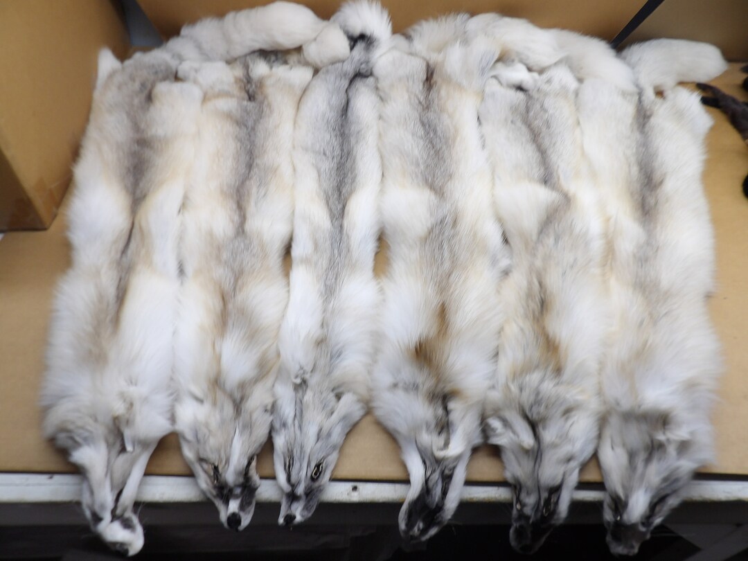 Professionally Tanned #1 Grade 3XL Fawn Light Fox Hide/pelt/heavy ...