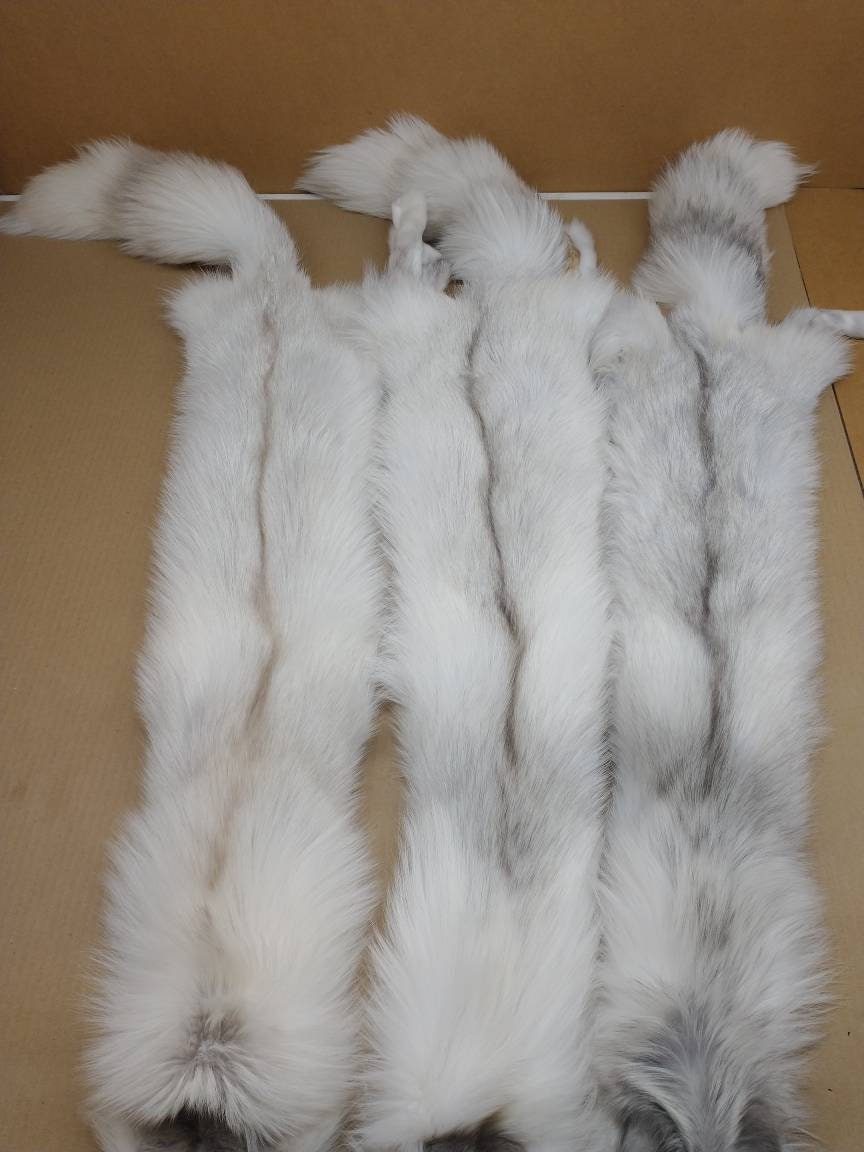 Arctic Cross Fox Hide Professionally Tanned 1 - Etsy