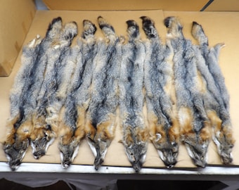 Silver Fox Hide With 4 Feet Professionally Tanned Top Lot Grade/tanned ...