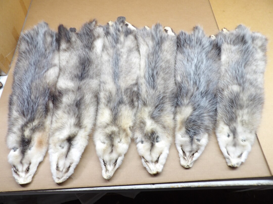 Opossum 2XL #1 Grade Professionally Soft Tanned Hide/pelt/real USA Fur ...