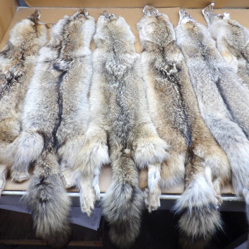 Real Fur Capes for Women - Etsy