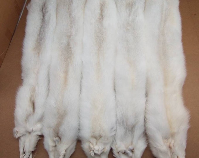 Professionally Tanned 1 Grade Ranch Blue Fox Hide/pelt/nicely - Etsy