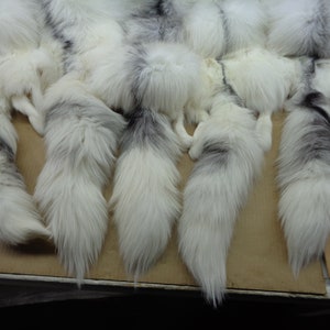 Arctic Marble Fox Hide Professionally Tanned Pelt - Etsy