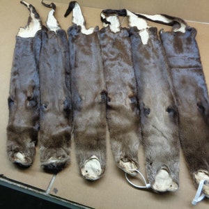 XL Dark Otter Hide Professionally Tanned 1 Grade/pelt/fur/hair Ties - Etsy
