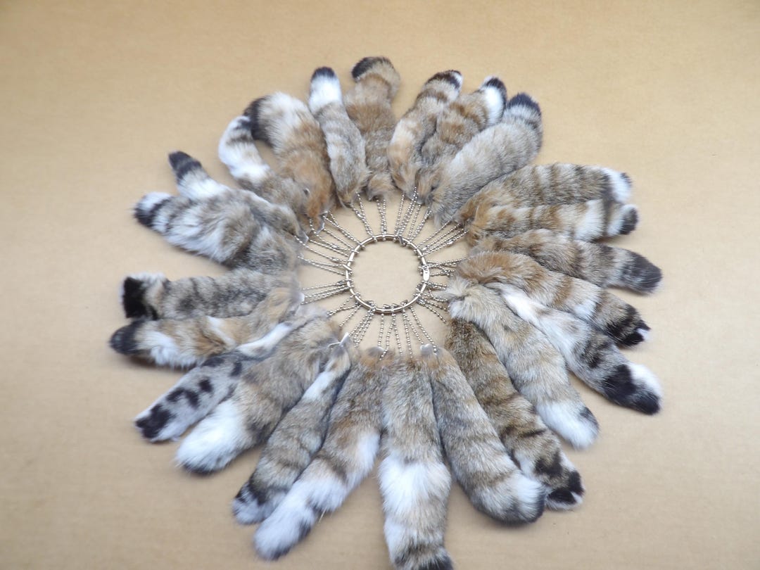 Professionally Soft Tanned XL Lynx Tail With Chain Attached/real Fur ...