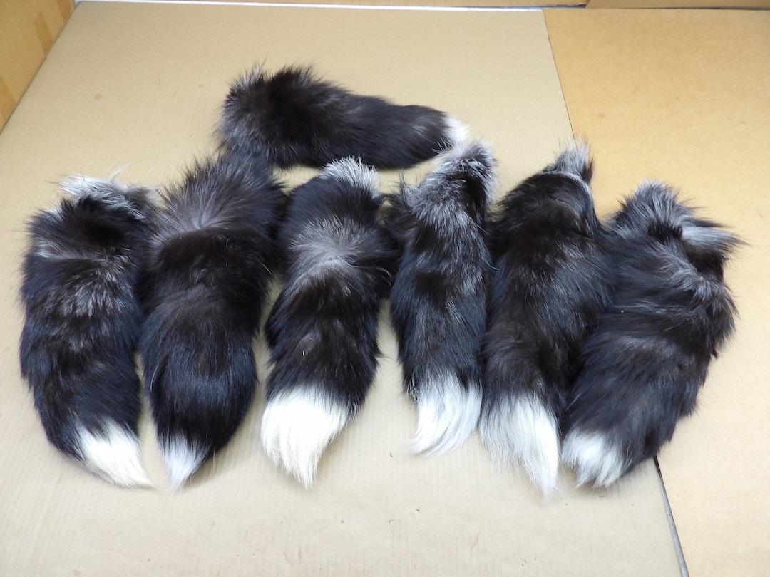 XXL Silver Fox Tail/professionally Soft Tanned/real Fur - Etsy