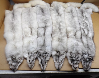 Silver Fox Hide With 4 Feet Professionally Tanned Top Lot Grade/tanned ...